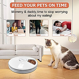 Pets Automatic Timed Pet Feeder,4pawslife 6 Meal Food Dispenser for Dogs, Cats & Small Animals Auto Feeder with Music