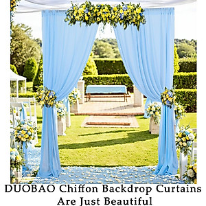 DUOBAO 2 Panels Chiffon Curtains 29"x108" Sheer Backdrop Drape Beach Curtain for Living Room Light Blue Voile Window Drapes for Wedding Ceremony (Sky Blue)