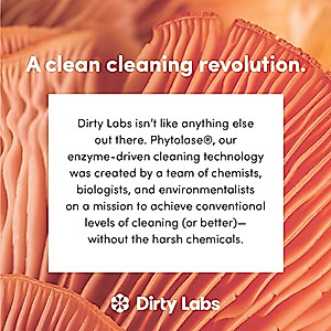 Dirty Labs | Murasaki Scent | Bio Enzyme Liquid Laundry Detergent | 32 Loads (8.6 fl oz) | Hyper-Concentrated | High Efficiency & Standard Washing | Nontoxic, Biodegradable | Stain & Odor Removal