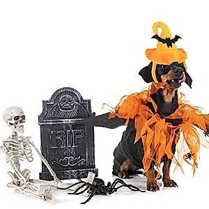 Pet Halloween Headband for Dogs Cats Black Bat Orange Hat Costume Dress Up Accessories for Medium Large Pet for Cosplay and Makeup