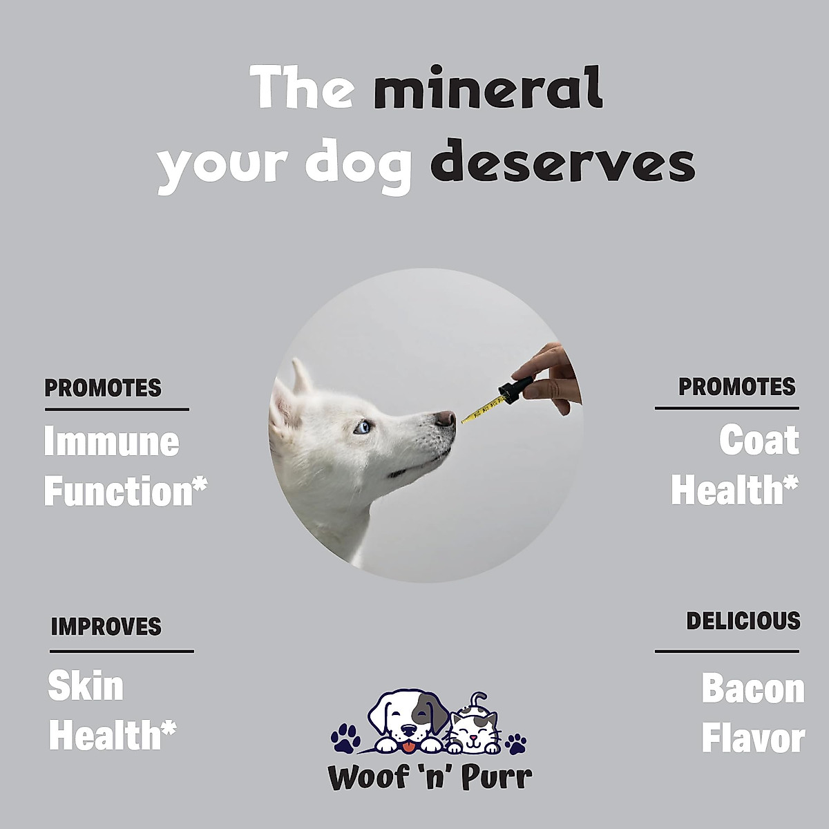 Zinc for Dogs - Dog Zinc Supplement - Helps to Support Healthy Skin, Coat, Immune Health & More - Dog Zinc - Dog Skin and Coat Supplement - Skin and Coat Supplement for Dogs - 1 fl oz - Bacon Flavor