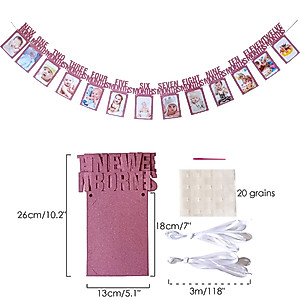 1st Birthday Photo Banner, First Birthday Party Supplies, Baby Photo Decorations from New Born to 12 Months, Pink Glitter First Birthday Bunting-Pink