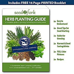 Culinary Herb Seeds Outdoor & Indoor Herb Garden Kit - 10 Herb Garden Seeds for Planting & 8 Instant Soil Pucks - Basil Seeds, Cilantro Seeds, Lavender Seeds, Rosemary Seeds, Thyme Seeds, & More