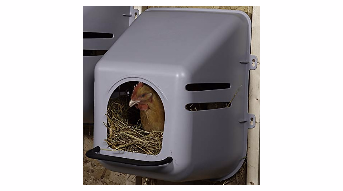 Little Giant® Plastic Chicken Nesting Box | Chicken Nest Box for Laying ...