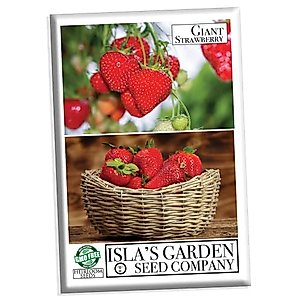Giant Strawberry Seeds for Planting, 50 Heirloom Seeds Per Packet, (Isla's Garden Seeds), Non GMO Seeds, Botanical Name: Fragaria vesca, Great Home Fruit Garden Gift