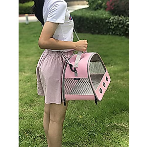 Guinea Pig Carrier, Small Animal Bird Rabbit Turtle Carrier Bag, African Hedgehog Portable Travel Carrier Outdoor Hangbag, Bird Rabbit Guinea Pig Squirrel Carrier