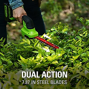 Greenworks 24V Cordless Shear Shrubber, 1.5Ah USB Battery and Charger Included