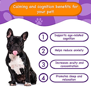 PawPuk Paws Calming & Cognition Supplement for Dogs, Melatonin SAM-E NMN & CoQ10 - Cognition Supp., Valerian Root Ashwagandha Gingo Biloba - Calming Natural Ingredients, Brain Function