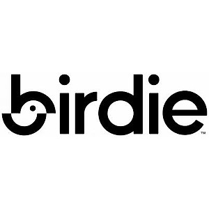 Birdie Disc Golf Base Marvel Putter (172-174g)