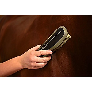 WAHL Professional Animal Equine Soft Body Horse Brush, Black (858704)