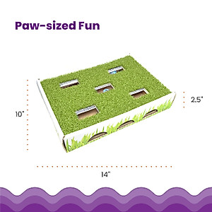 Catstages Grass Patch Hunting Box Cat Toy