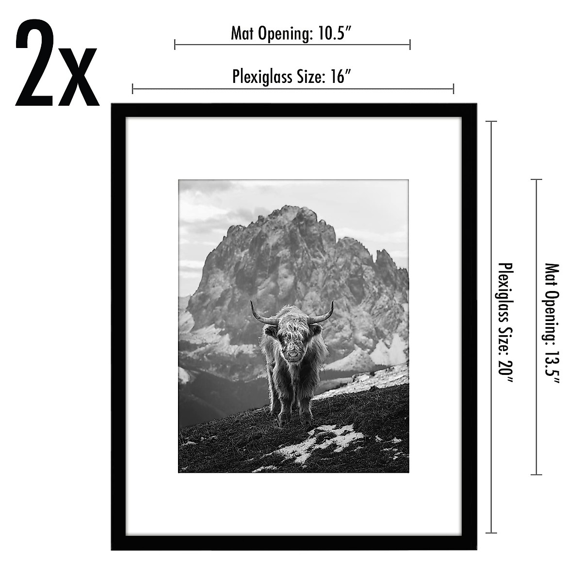 Americanflat 16x20 Picture Frame with Polished Plexiglass - Set of 2 - Use as 11x14 Frame with Mat or 16x20 Frame Without Mat - Galleria Collection - Photo Frames for Wall Display - Black