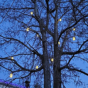 Solar Mason Jar Light Lids 10 Pack 20 LED Fairy String Light Inserts for Jars with Hangers Starry Lighting Waterproof Rust Resist for Patio Lawn Garden Wedding Lantern Decor No Jars (Warm White)