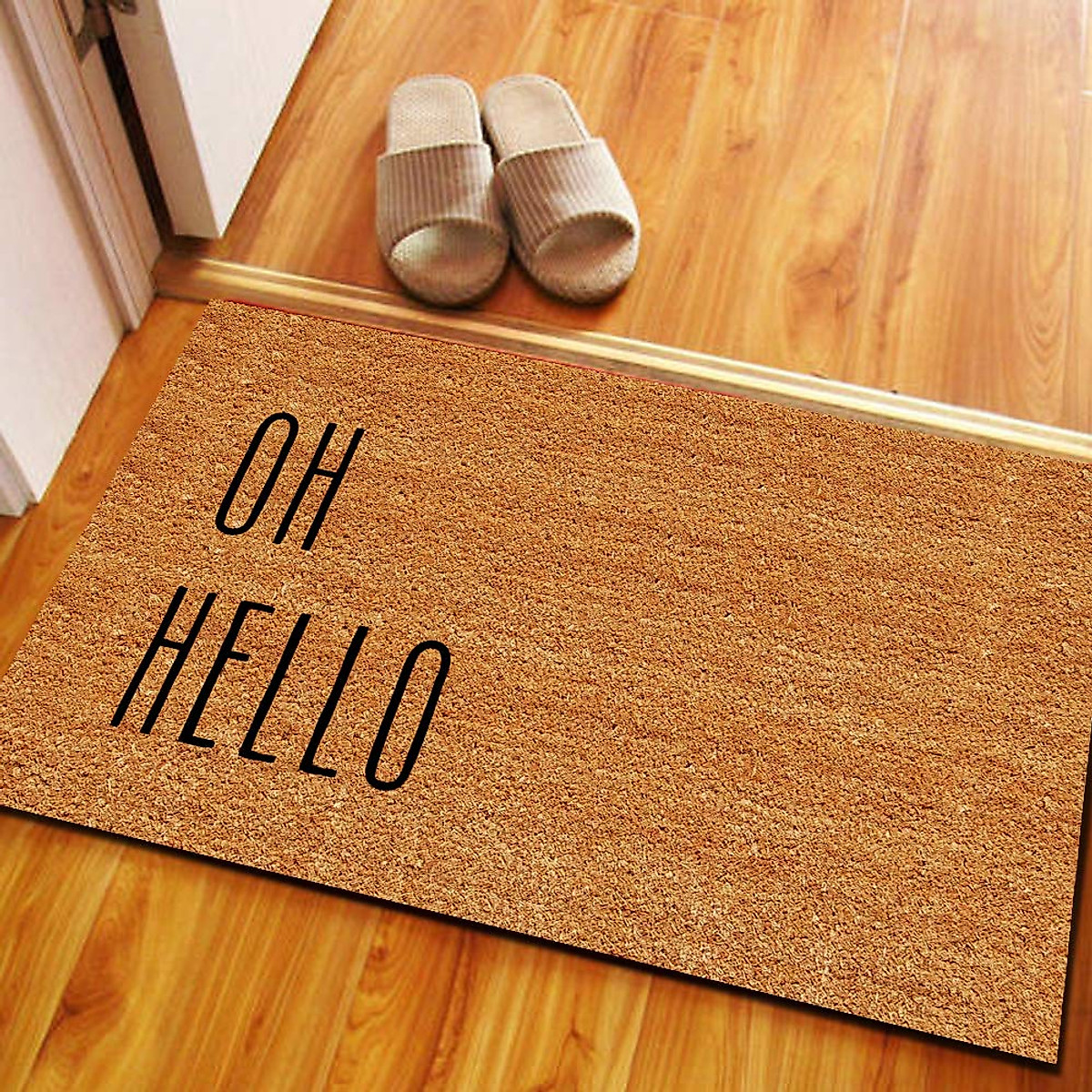 MOMOBO Funny Doormat Custom Indoor Doormat -Oh Hello Funny Front Mats Home and Office Decorative Entry Rug Garden/Kitchen/Bedroom Mat Non-Slip Rubber 23.6 x15.7 Inch
