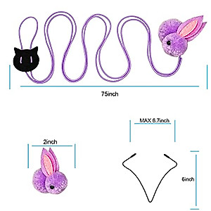 ZPH Cat Toys Interactive for Indoor Cats,2PCS Retractable Cat Wand Toys,10PCS Teaser Toys&1PCS Hanging Door Lure Cat Toy,Interactive Feather toy for Teaser Play and Chase Exercise With Kitten