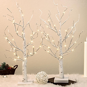 Easter Tree Lighted Birch Tree with Led Lights | USB/Battery Operated | Easter Egg Tree Tabletop Decorations, 2FT 24 LEDs Warm White Lighted Trees for Decoration Inside 2Pk