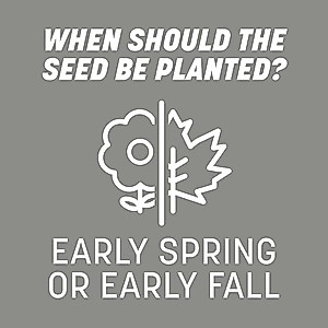 Pennington Contractors Grass Seed Mix Northern Mix 40 lb