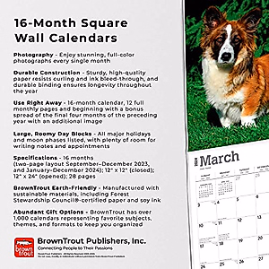 Cardigan Welsh Corgis | 2024 12 x 24 Inch Monthly Square Wall Calendar | BrownTrout | Animals Dog Breeds
