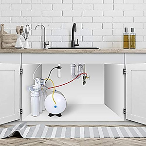 APEC Water Systems Tank-4 4 Gallon Residential Pre-Pressurized Reverse Osmosis Water Storage Tank