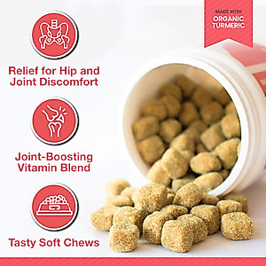 pawlife Arthritis Dog Joint Chews| Glucosamine, Chondroitin, Omega-3| MSM Support for Healthy Joints| 120ct Veterinarian Formulated Soft Chews| Up to 4-Month Supply