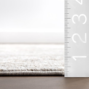 nuLOOM Georgianna Medallion 4x6 Area Rug for Living Room Bedroom Dining Room Kitchen, Beige/Light Grey