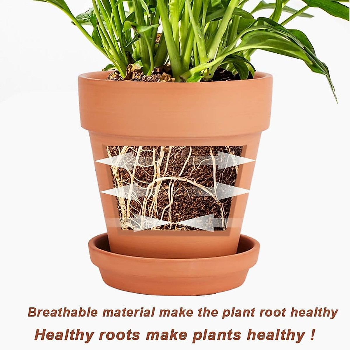 6 Inch Clay Pot for Plant with Saucer - 4 Pack Large Terra Cotta Plant Pot with Drainage Hole, Flower Pot with Tray, Terracotta Pot for Indoor Outdoor Plant