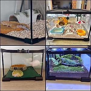 BNOSDM Reptile Tank,8" x 8" x 6" Mini Reptiles Terrarium,Full View Young Lizard Glass Tank,Small Amphibians Habitat Enclosure Cage for Tarantula,Frog,Hermit Crab,Isopods,Insects Breeding Box