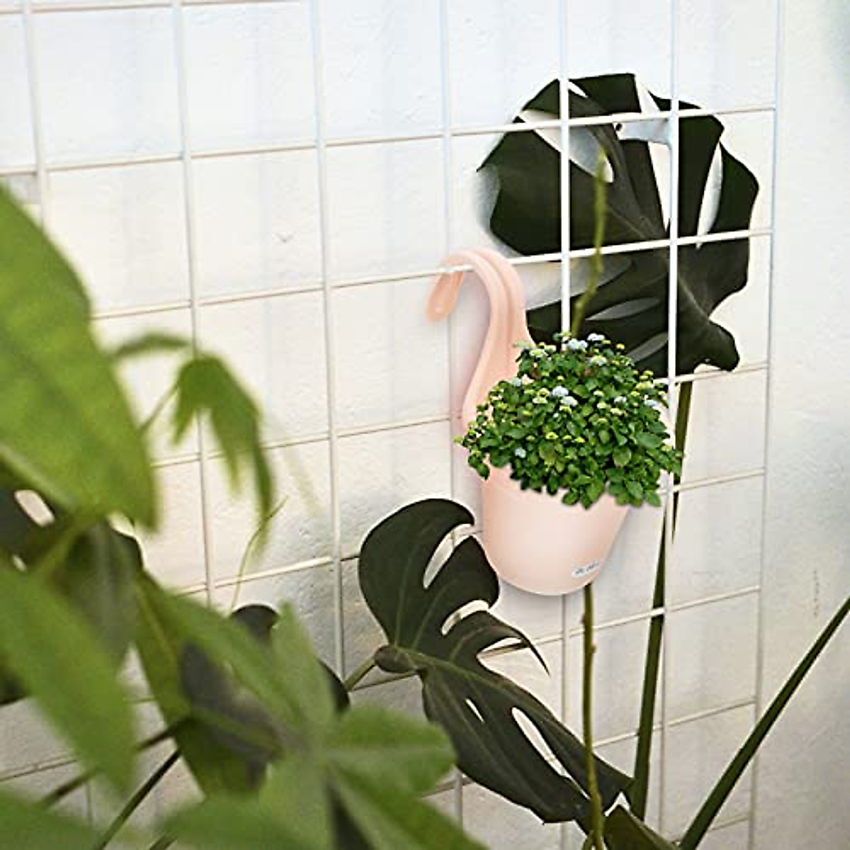 Happyyami Single Hook Hanging Basin pots for Outdoor pots for Indoor Plants Hanging Plant Holders Railing Planter Hanging Baskets for Plants Outdoor Fence Hanging Rail pp Resin Flowers