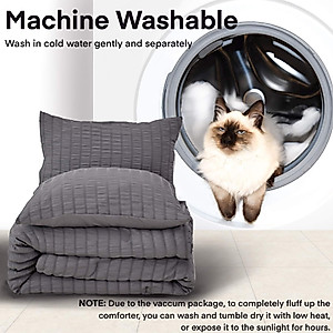 AveLom Seersucker Full Comforter Set (80x90 inches), 3 Pieces - 100% Soft Washed Microfiber Lightweight Comforter with 2 Pillowcases, All Season Down Alternative Comforter Set for Bedding, Gray