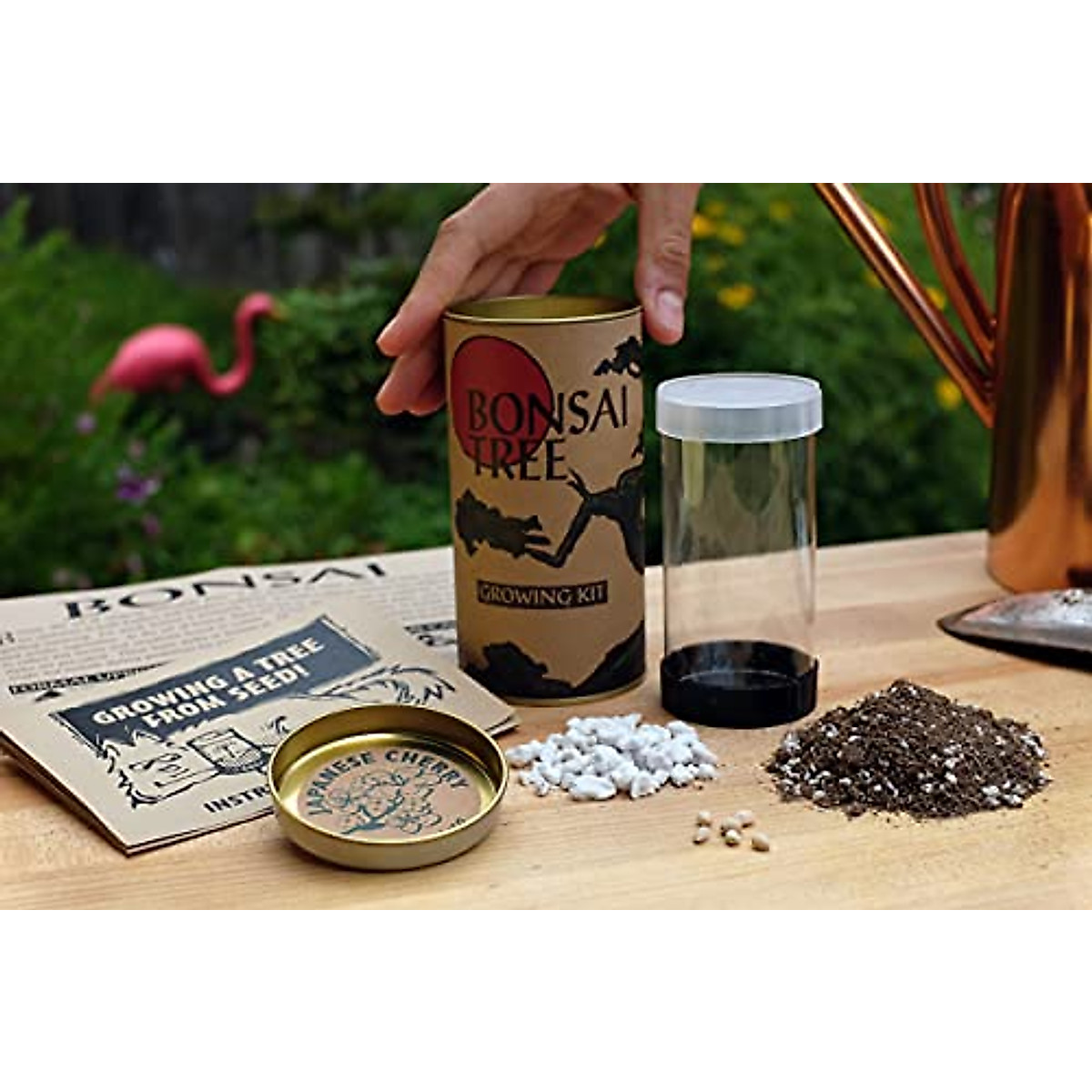 Bonsai Tree | Japanese Flowering Cherry | Seed Grow Kit | The Jonsteen Company