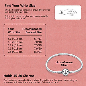 NINGAN Snake Chain Bracelet for Pandora Charms 925 Sterling Silver Signature Bracelet with Round Clasp Charm Clear, Happy Birthday Gift for Women, 7.1in/18cm Bracelet