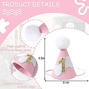 Dog Bone 1st Birthday Hat - Dog Birthday Party Decorations,1st Birthday Crown for Dogs, Dog Pet Birthday Hat Party Accessorise (Pink Dog Birthday HAT)