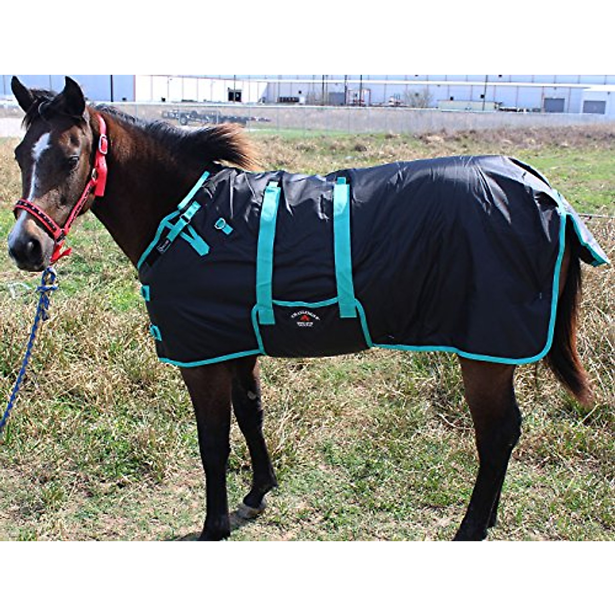 CHALLENGER 60" 1200D Miniature Weanling Donkey Pony Horse Foal Winter Blanket Teal 51945