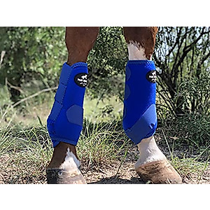 TGW RIDING Equine Sports Medicine Ventech Elite Front Leg Boot, Pair (Royal Blue, M)