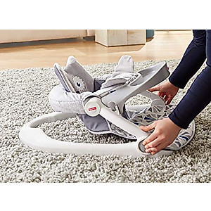 Fisher-Price Premium Sit Me Up Floor Seat with Toy Tray Owl