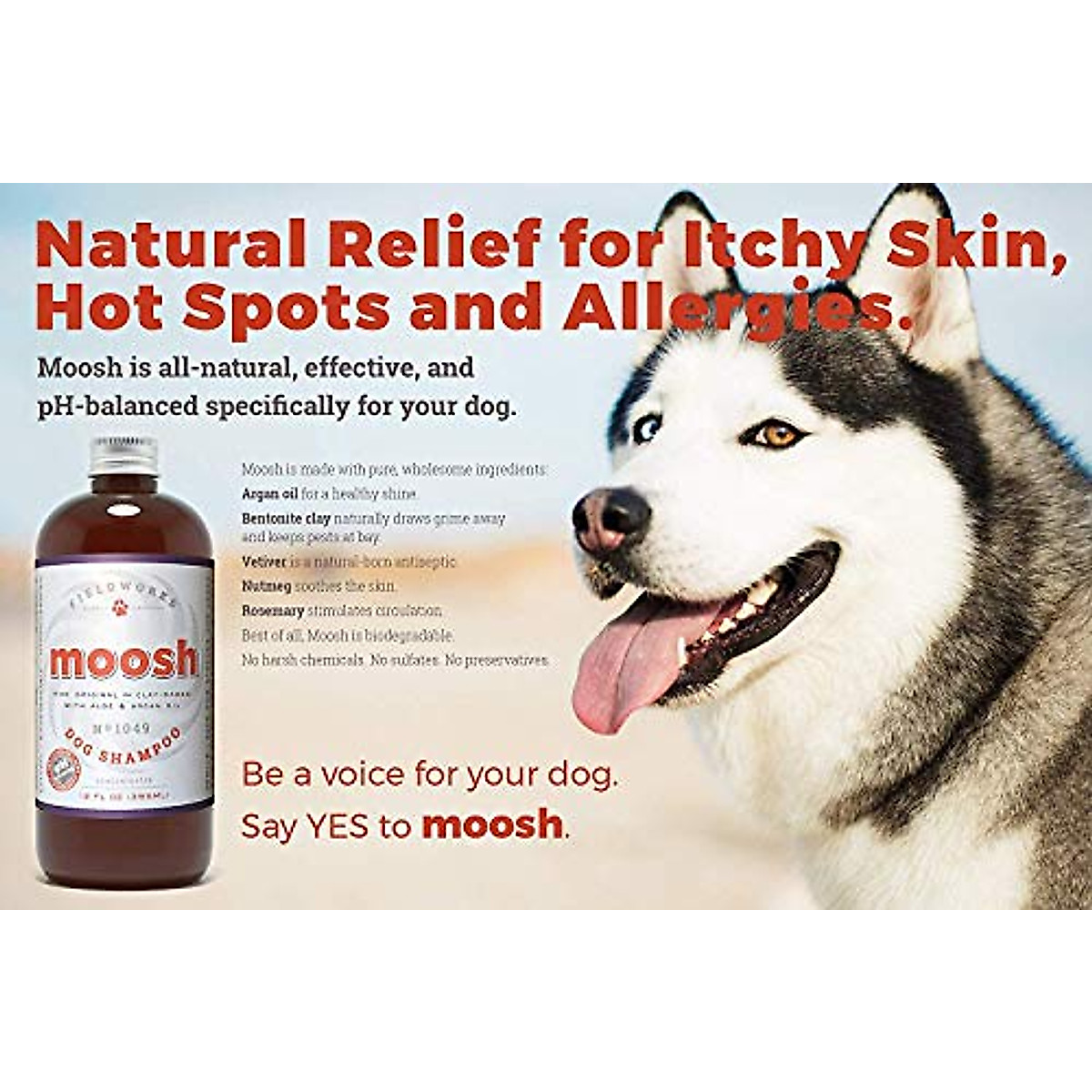 Moosh Natural Dog Shampoo – Promotes Healthy Hair, Coat and Skin. Helps Hot Spots, Dry Itchy Skin. Pet Odor Eliminator – Grooming Shampoo. Shea Butter, Argan Oil, Aloe Vera, Bentonite Clay