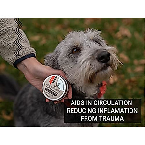 Gou Gou Pets 3-in-1 Paw Ointment Holistic Natural Derived Herbalfor Dogs, Cats, Horses: Conditioning & Moisturizing for Extreme Heat & Cold Causing Frozen & Burned Paws - Made in USA - 1 oz