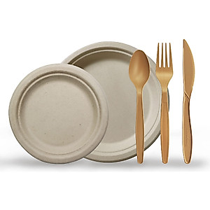 PAMI 250-Piece Eco-Friendly Disposable Dinnerware Set with Biodegradable Plates, Cutlery, Cups, Degradable Tableware for Parties and Events