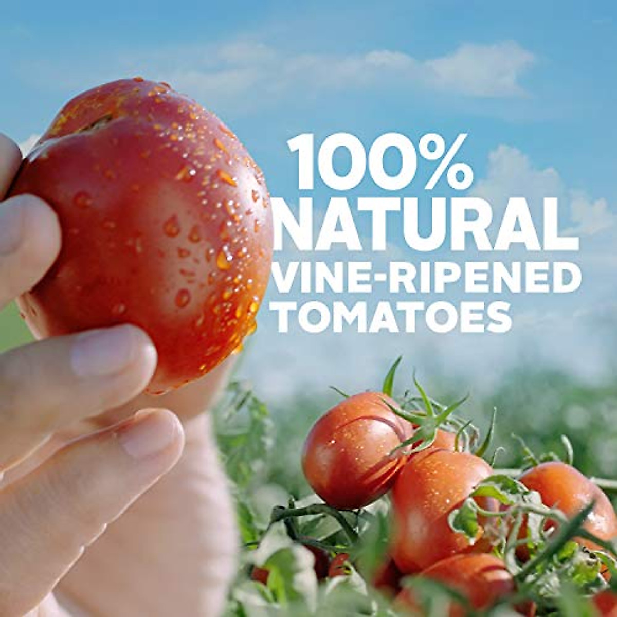 Hunt's Four Cheese Spaghetti Sauce, 24 Ounce