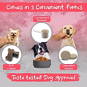 Vital Planet - Vital Dog Multi Vitamin Powder Supplement for Everyday Health with Vitamins, Minerals and Antioxidants for Dogs - Beef Flavored Powder, 30 Servings, 75 Grams