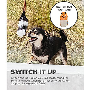 Outward Hound Tail Teaser Replacement Lure for Dog Teaser Wand, Fox