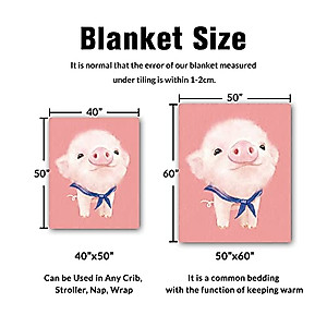 Parrot BEEK Pig Blanket Pig Gifts for Women Pig Lovers, Pink Pig Blankets for Kids, Cozy Warm Cute Animal Flannel Throw Blankets for Couch Sofa Living Room Decor 50x40 Inch
