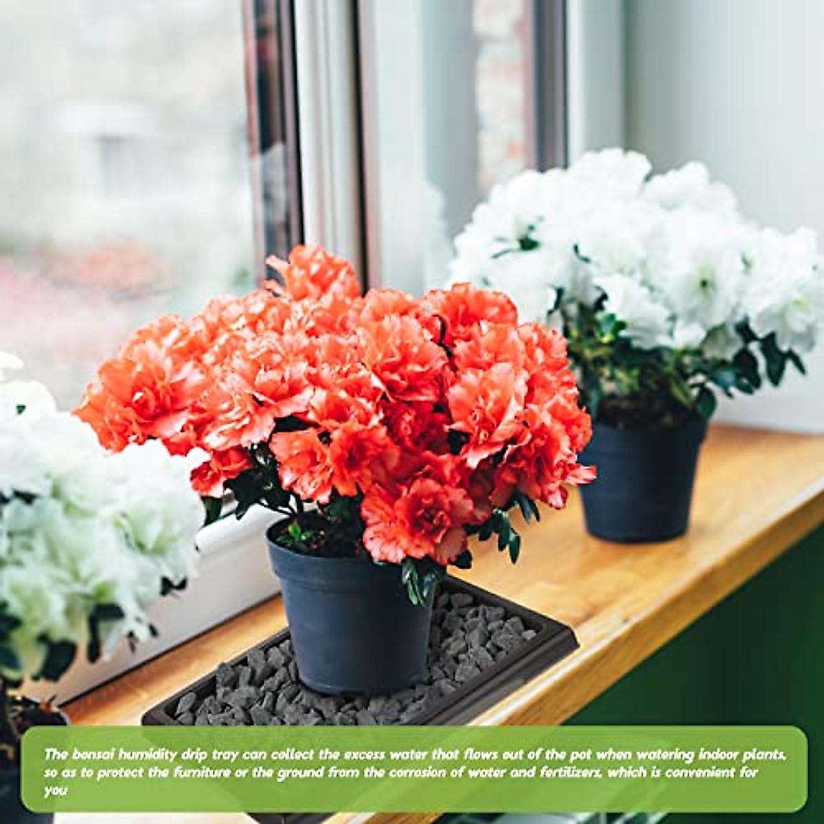 2 Pack Bonsai Humidity Tray 9 Inch Drip Tray Rectangular Plastic Plant ...