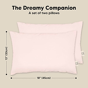 2-Pack Toddler Pillow - Soft Organic Cotton Toddler Pillows for Sleeping - 13X18 Small Pillow for Kids - Kids Pillows for Sleeping - Kids Pillow for Travel, School, Nap, Age 2 to 5 (Daisy)