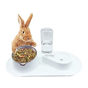 Tfwadmx Rabbit Double Bowls Bunny Automatic Water Dispenser Detachable Plastic Bottle Adjustable Titled Neck Protection Food Feeder for Chinchilla Cat Puppy Squirrel and Other Small Animals