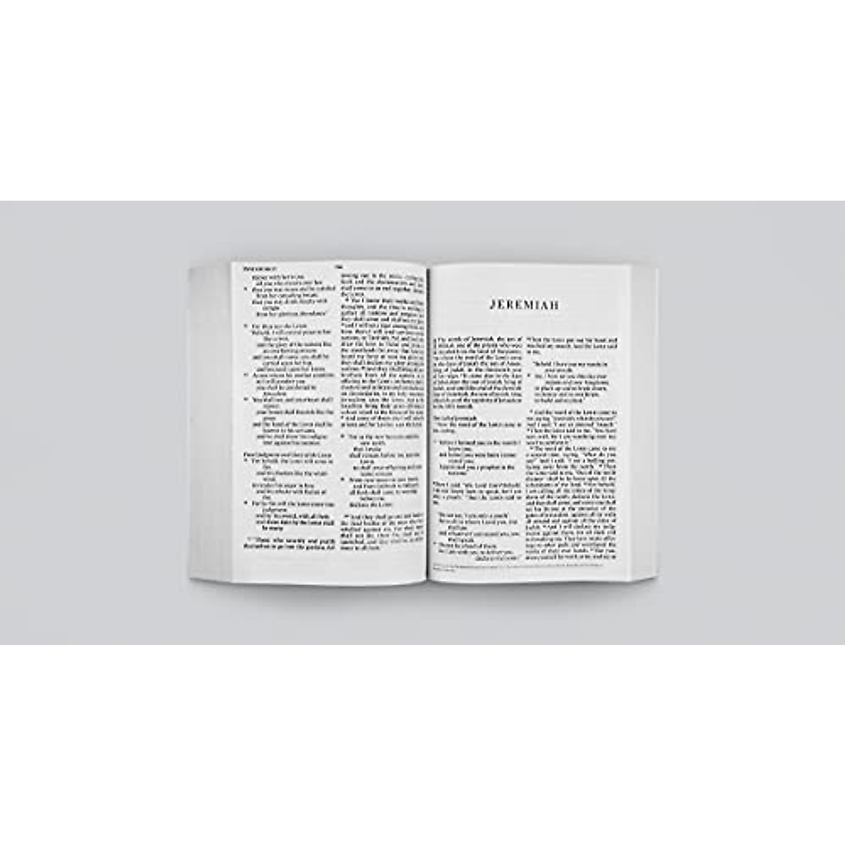 ESV Economy Bible, Giant Print