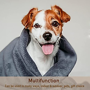 allecalm Fleece Bed Blanket King Size Lightweight Soft Warm Comfortable Cozy Fuzzy Plush Blanket for All Season for Bed, Sofa, Couch, Travel, Camping, Gift, 108x90 inch, Brown Tan