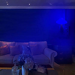 AUSAYE 2Pack LED Night Light Plug in Lamp 7-Color Changing Cute Mushroom Light Sensor Night Lights for Adults Kids NightLight