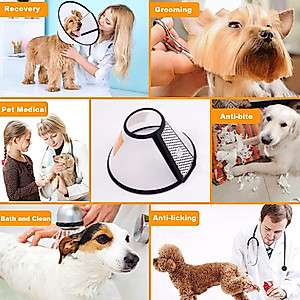 Bepets Cat Cone Collar, Pet Cone Dog Recovery Cone for Small Dog Cone After Surgery Anti-Bite Lick Wound Medical, Protective Cat Head Cone Dog Cone Collar Cat E Collar for Cats Puppy(5# Medium)