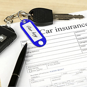 Plastic Key Tags 220 Pcs, Key Labels with Ring and Label Window, Key Chain ID Tags, Key Identifiers for Name, Luggage 10 Colors